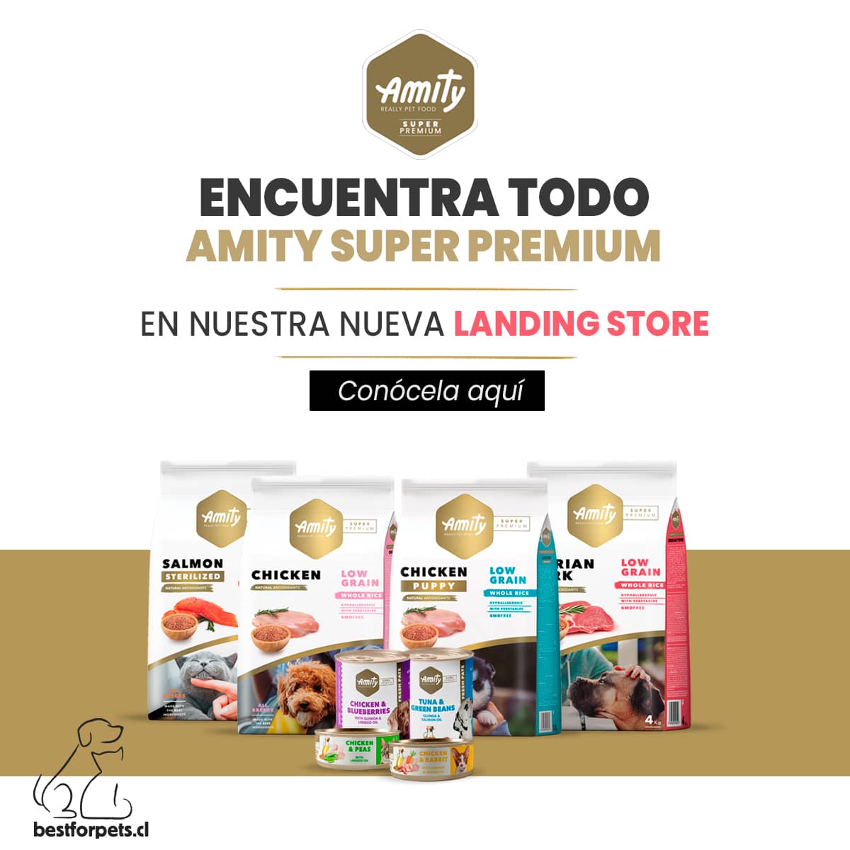 Alimentos Amity Super Premium para Gatos | Nutrición de Alta Calidad