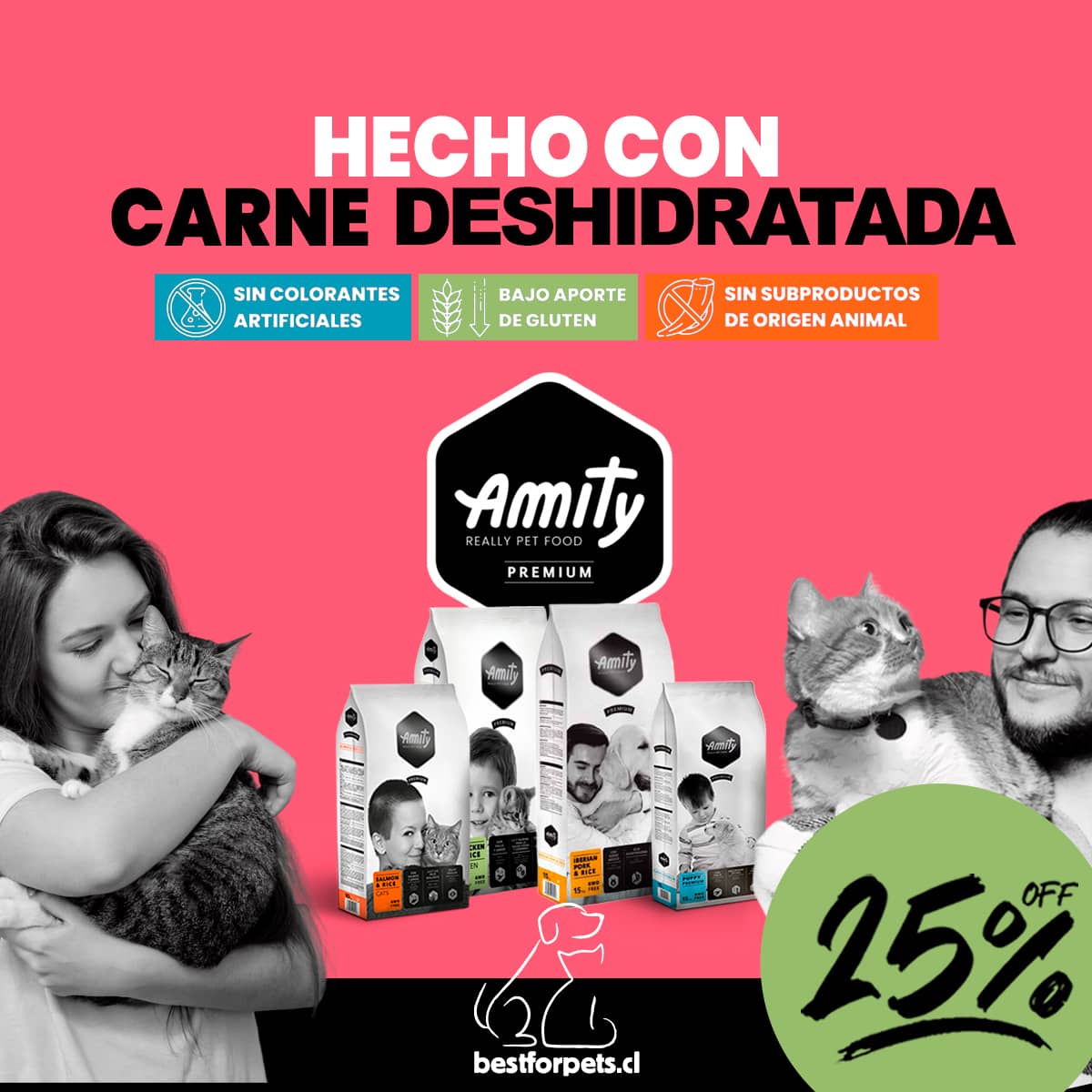 Gato Maine Coon: Origen, Características y Cuidados Especiales