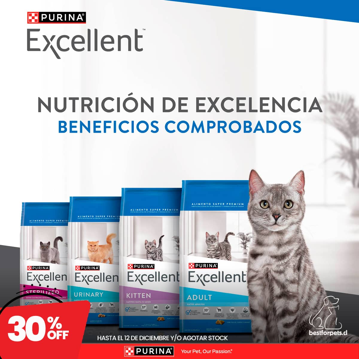 Brit Care | Alimento para perros - Best for Pets