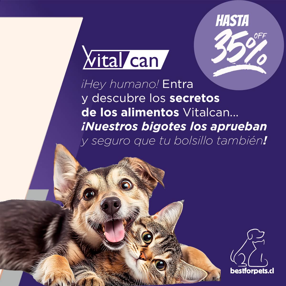 Alimentos para perros Biofresh