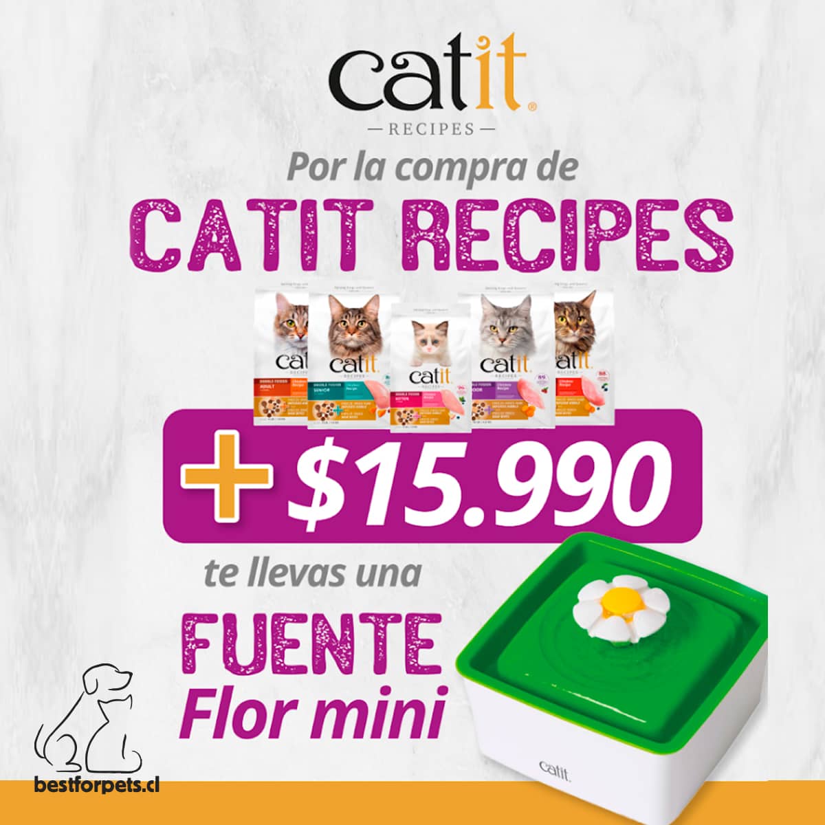 ALPHA SPIRIT | Alimentos para perros y gatos