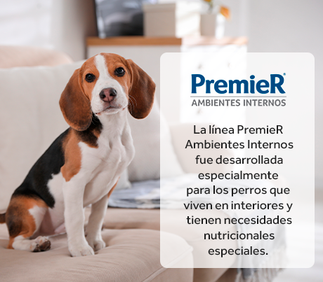 PremieR Pet | Best for Pets