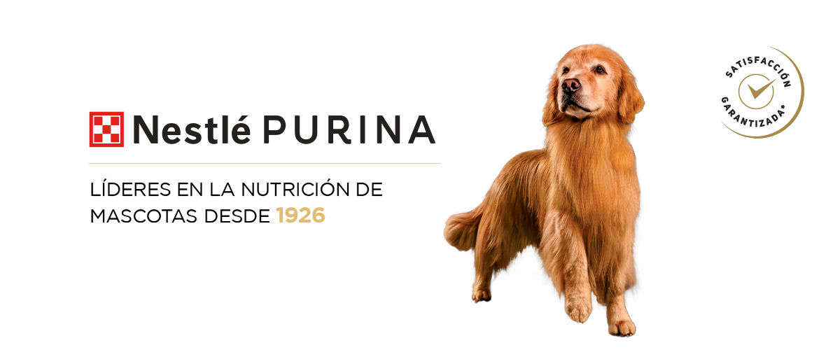 PURINA® PRO PLAN® | Alimentos para perros y gatos | Best for Pets