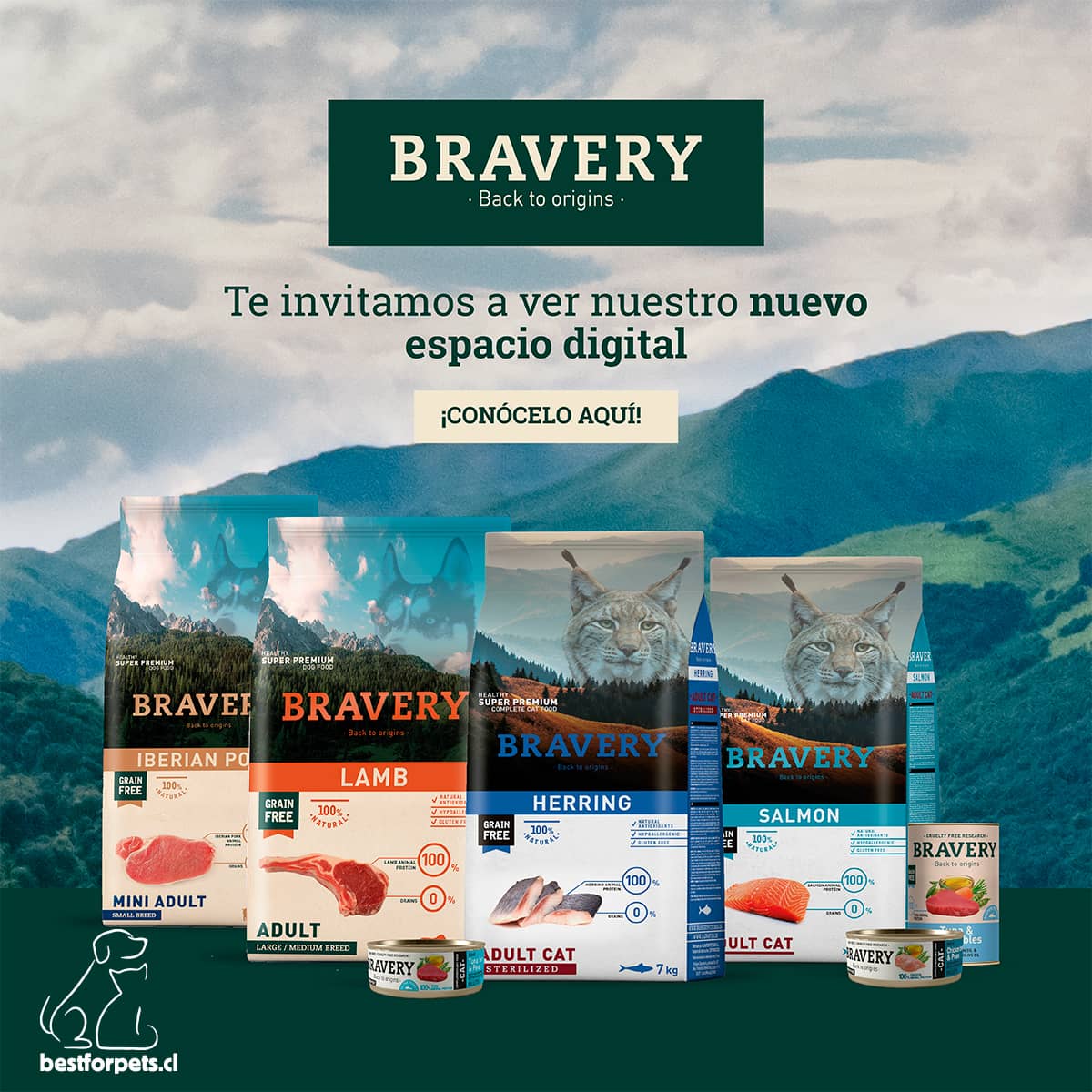 Alimentos PremieR para perros