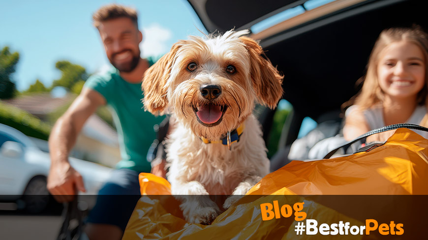 Comprar Comida y Productos para Mascotas Online con Despacho a Todo ...
