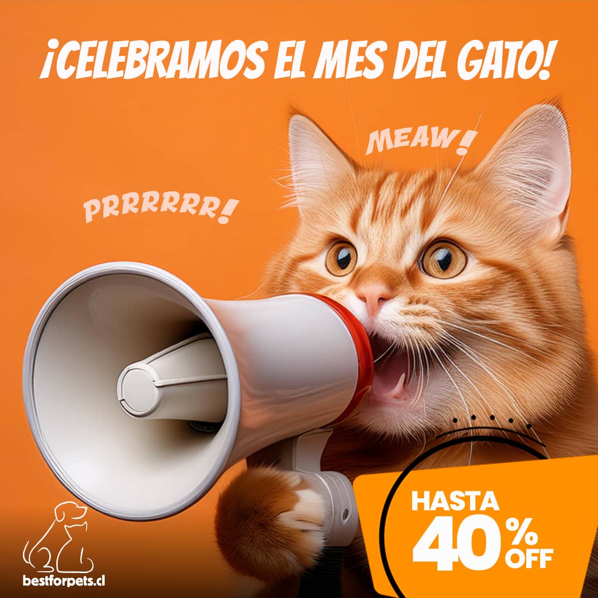 Alimentos BOKATO para perros