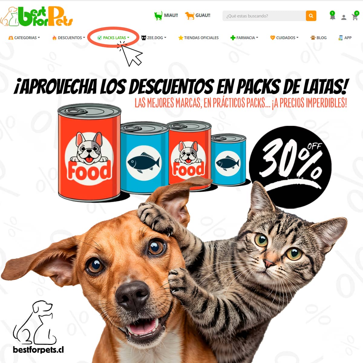 Los Mejores Rascadores de Diseño para Gatos en Chile 2026 | Best for Pets