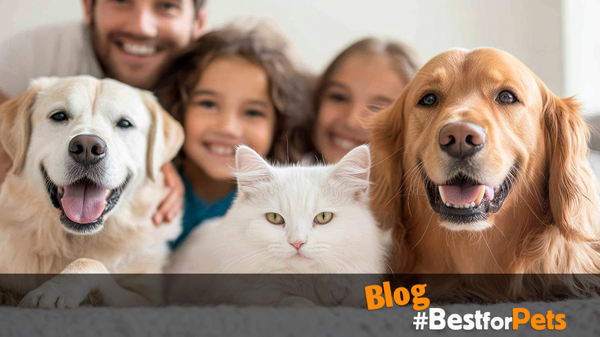 Pet Parenting en Chile: cómo las mascotas se convirtieron en parte de ...